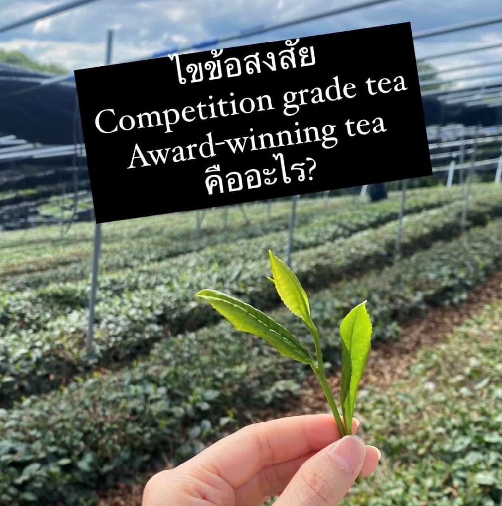 ไขข้อสงสัย Competition grade tea ? Award-winning tea farm? คืออะไร ...